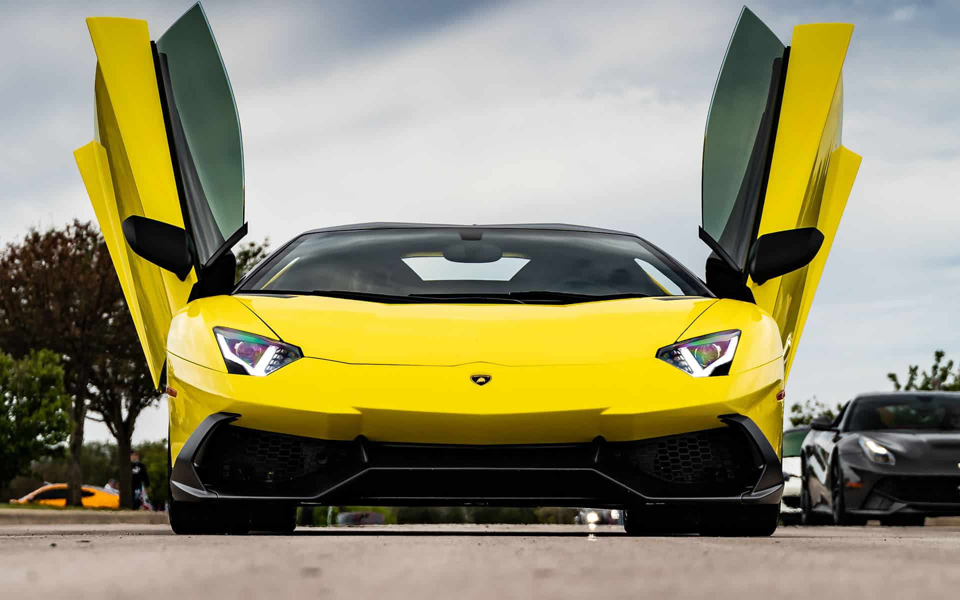 What You Need To Know Before Designing A Vehicle Wrap Wraptors North