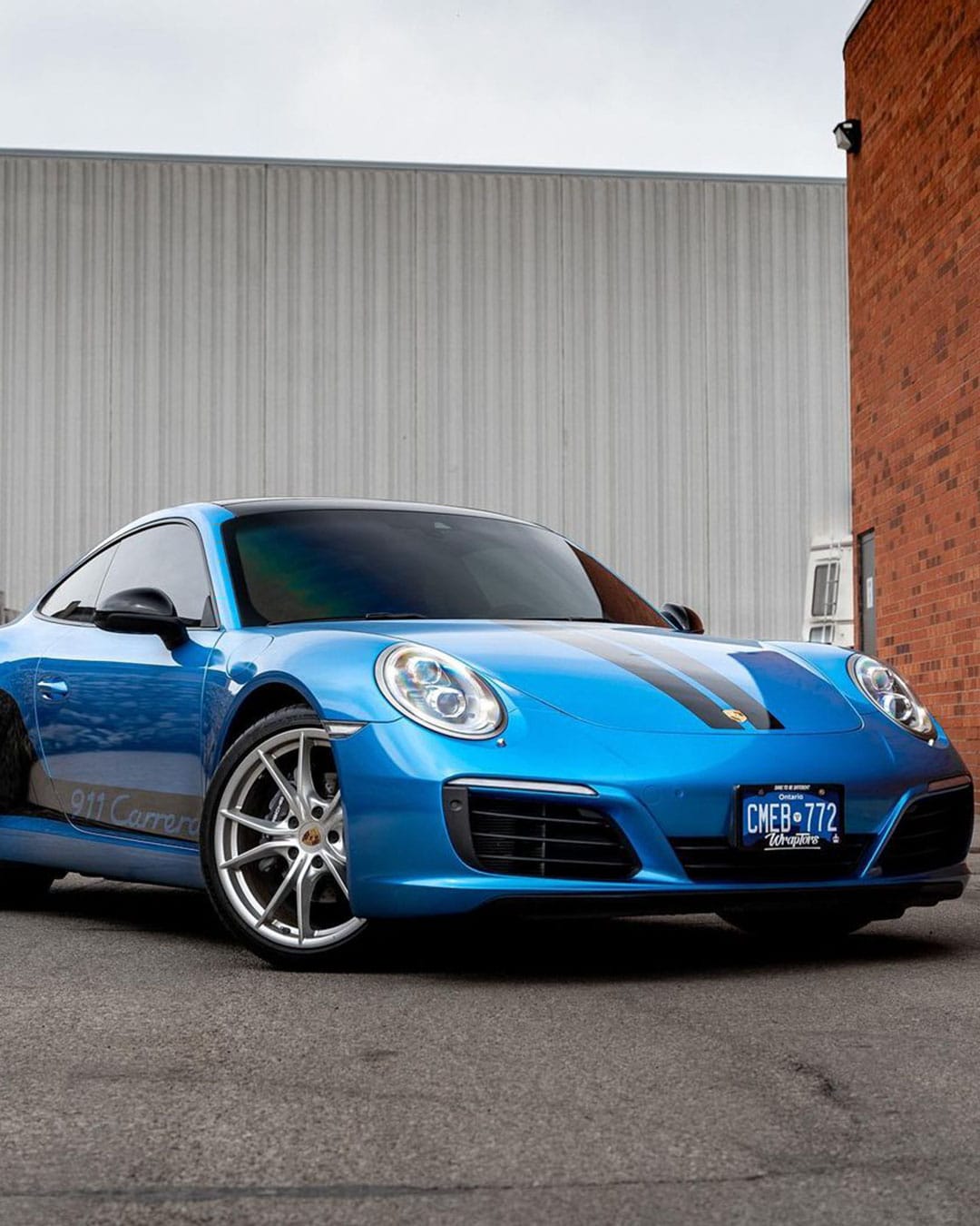 Racing Stripes - Wraptors North